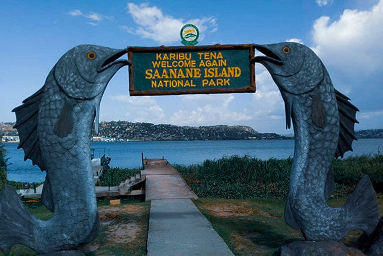 Saanane Island National Park - 4x4 Car Rental Tanzania